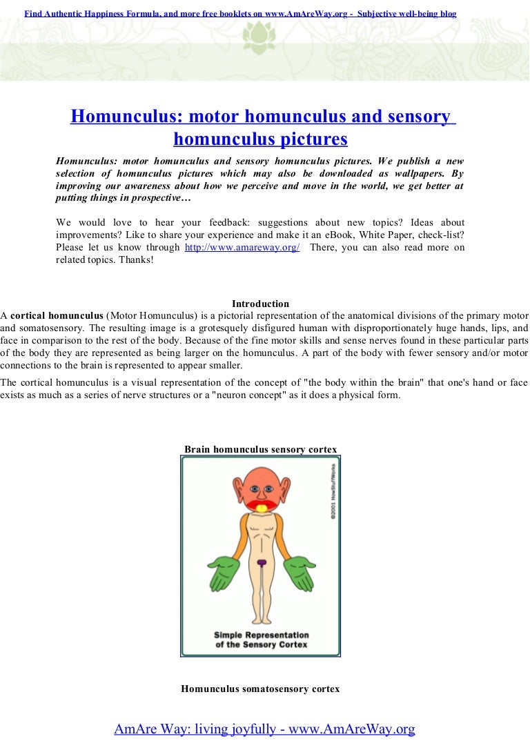 Homunculus