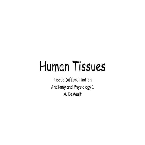 Honors anatomy/physiology human tissues 2016 | PPT