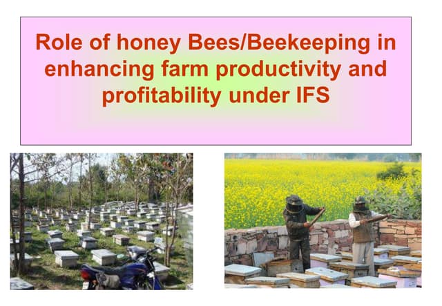 Honey Production & Processing | PPTX