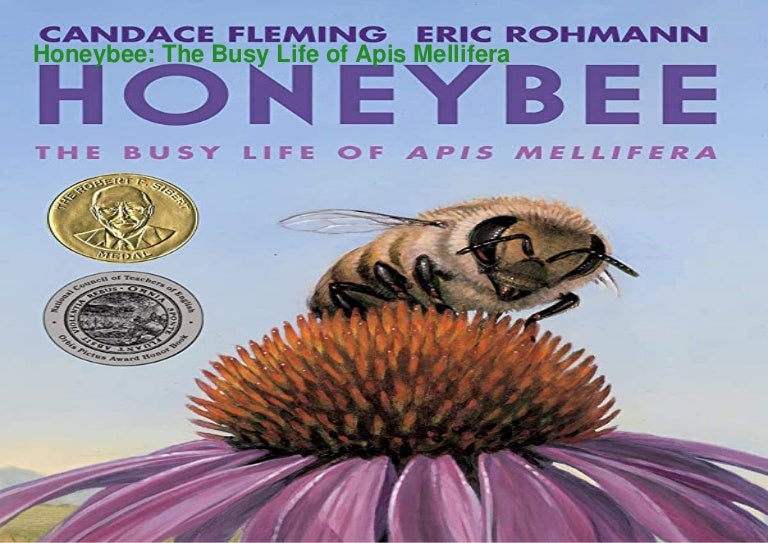 (^PDF)->Download Honeybee: The Busy Life of Apis Mellifera Online