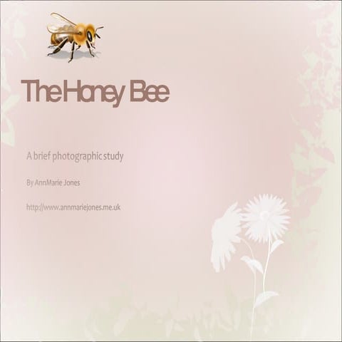 European Honey Bee | PPT