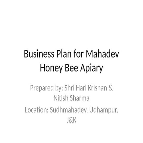 Honey_Beekeeping_Business_Plan.. (1).pptx