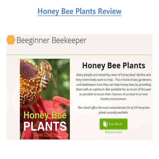 Honey bee plants review | PDF | Beekeeping | Hobbies & Interests