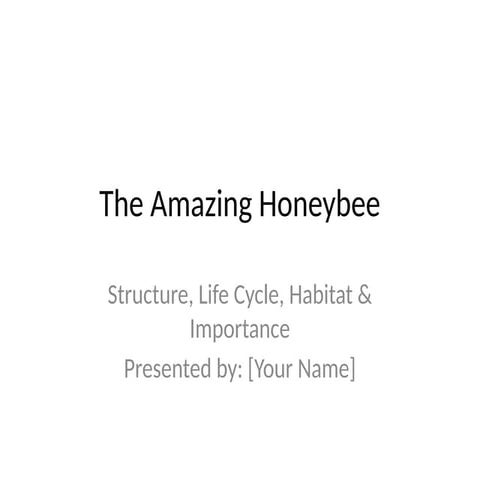 Honeybee life cycle Presentation for class 5 | PPTX