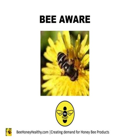 Honey Bees | PPT