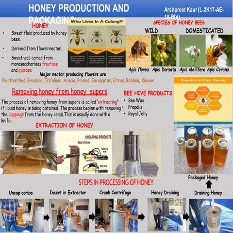 Honey production and packaging | PPTX