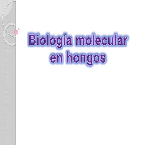 Hongos en Pcr | PPTX
