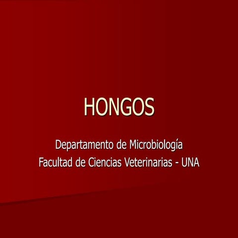 HONGOS ABRIL.ppt