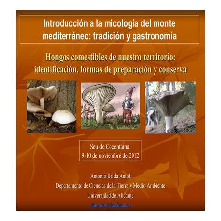 Hongos Comestibles Pdf