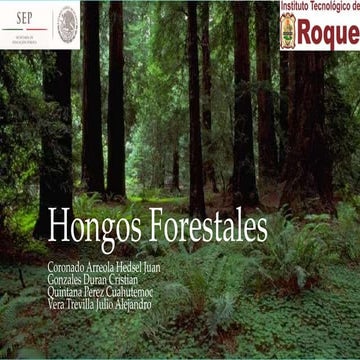 Hongos forestales | PPTX