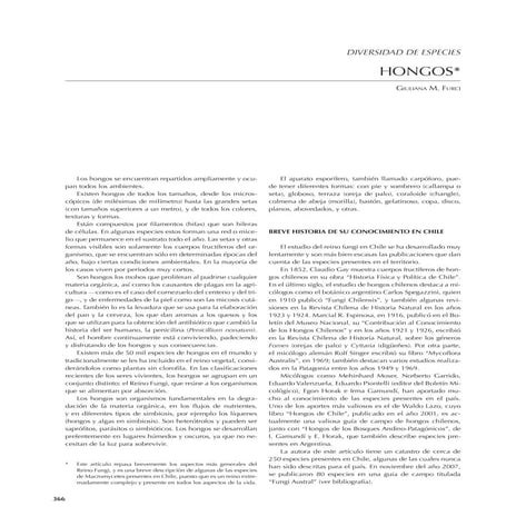 Guía fotográfica macrohongos llamativos en Chile (2021) | PDF