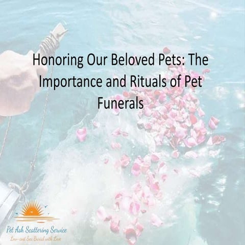 Honoring Our Beloved Pets: The Importance and Rituals of Pet Funerals ...