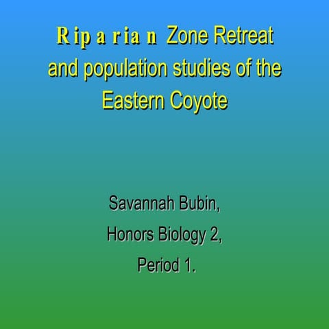 savannah bubin | PPT