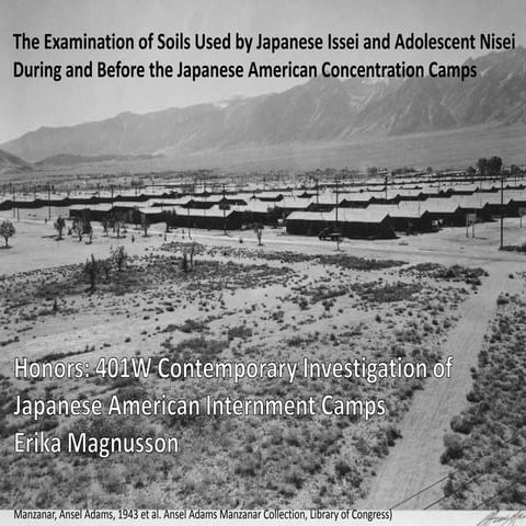 Honors Japanese American Internment Camp Research Presentation | PPT