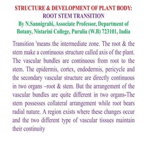 Root Stem Transition in Plant Body | PDF