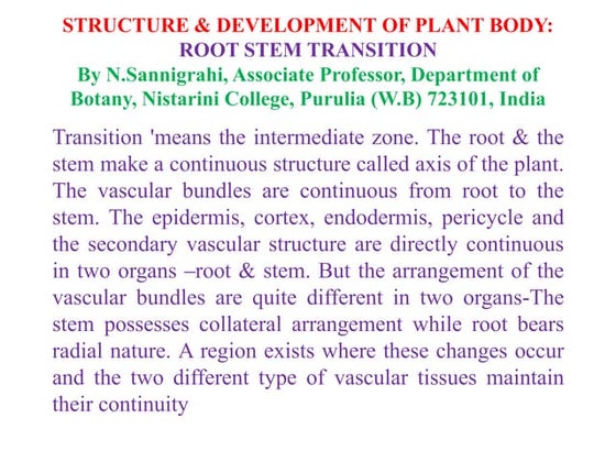 PPT10 Root stem transition , anatomy.pptx