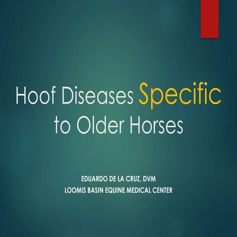 Hoof diseases for older horses | PPTX