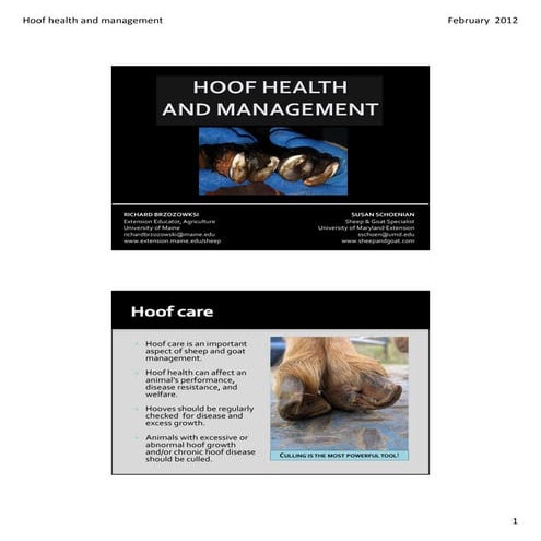 Hoof Health | PDF