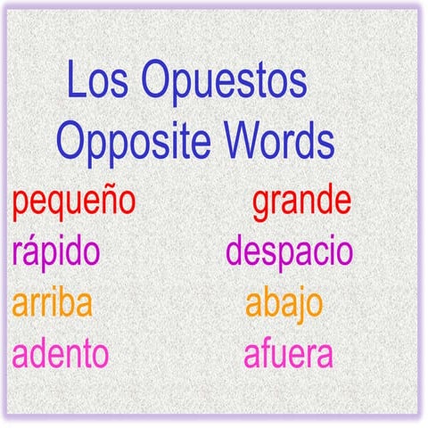 Hooked on spanish opposites | PPTX