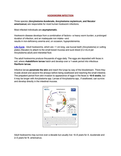 Hookworm Facts Life Cycle Picture Treatment Worm Recovered From Young