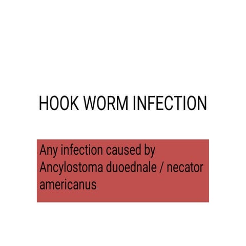 HOOK WORM INFECTION tasneem Ma'am.pdf by Mueed khan | PDF
