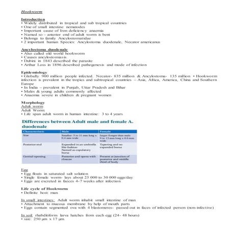 Hookworm Infestation Docx