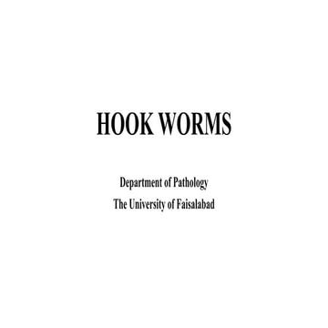 HOOK WORMS L17 in parasitology (medical lab sciences) .pptx