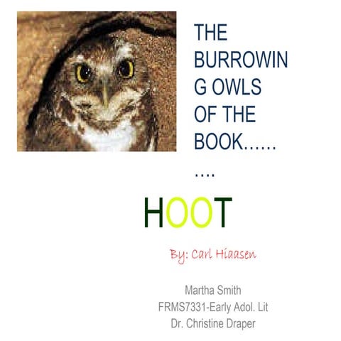 Hoot multiresource presentation | PPT