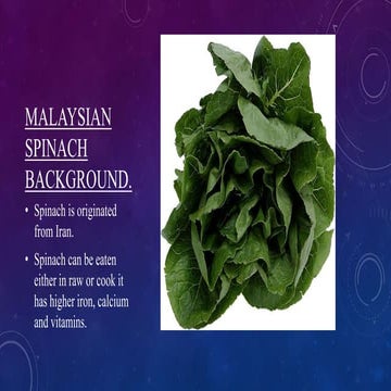 Production technology of spinach | PPTX