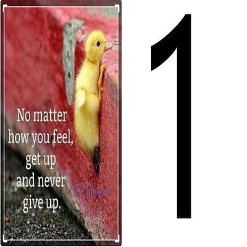 Hope Quotes Within 187 Days Of Patiently Waiting | PPT