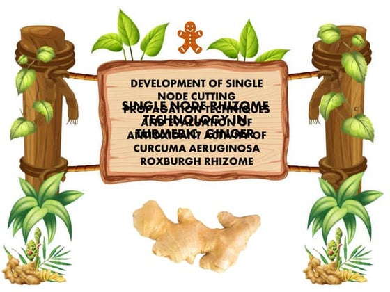 Fertilizer Control Order.pptx