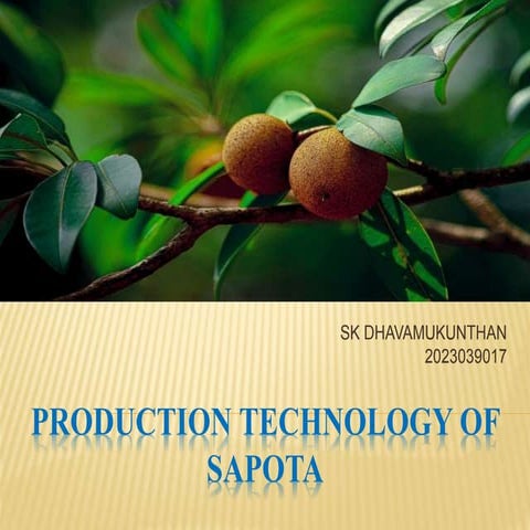 HOR112fruits and plantation crops- Sapota.pptx