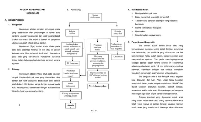 HORDEOLUM DAN KALAZION Tumor palpebra ppt.pptx