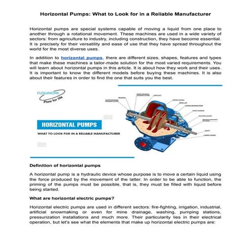 Horizontal Pumps: What to Look for in a Reliable Manufacturer | PDF