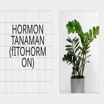 hormon (2).pptx tanaman fitohormon pada tumbuhan | PPTX