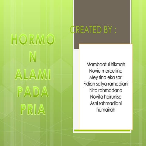 Hormon alami pria | PPTX