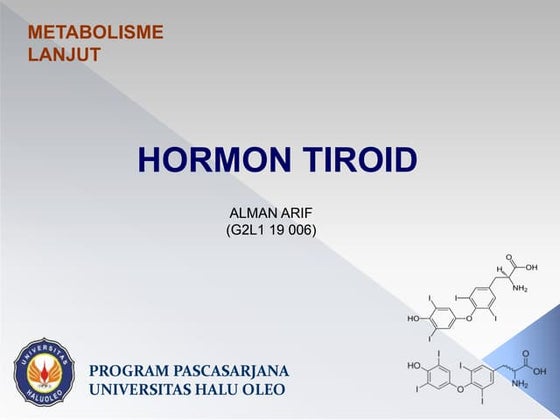 Hormon tiroid | PPT