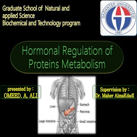 Hormonal regulation of proteins metabolism | PPTX
