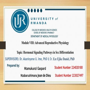 Hormonal Signaling In Sex Differentiation Pptx