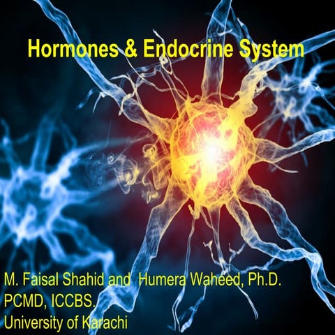 Hormones and Endocrine System | PPT
