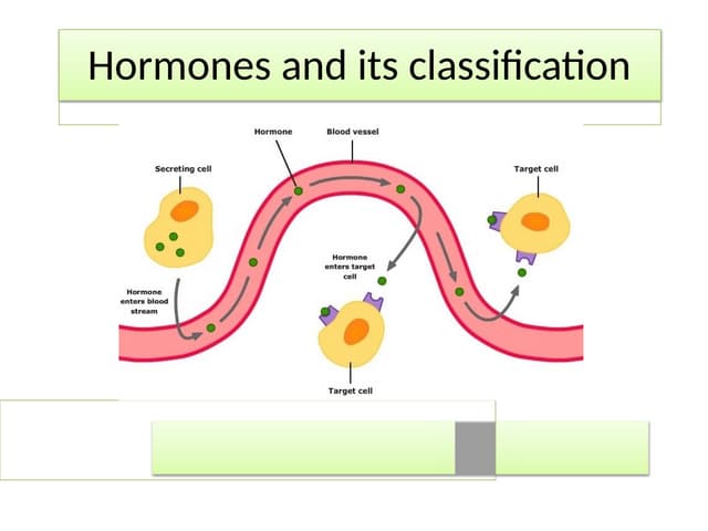 Hormones and its classification | PDF