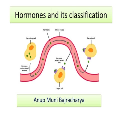 Hormones and its classification | PDF