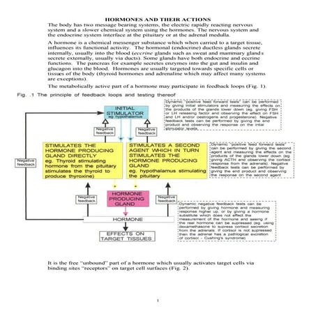 Anatomy and Physiology of Endocrine System