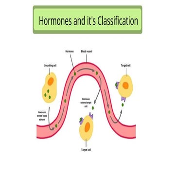 Hormones and its classification | PDF