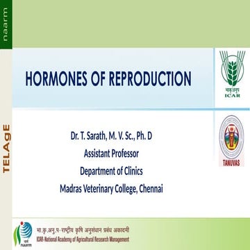 Hormones in cattle cattle hormones PPT.pptx