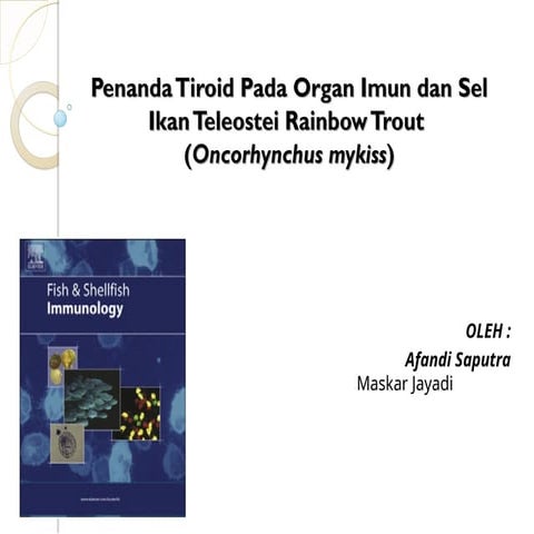 Penanda Tiroid Pada Organ Imun dan Sel Ikan Teleostei Rainbow Trout ...