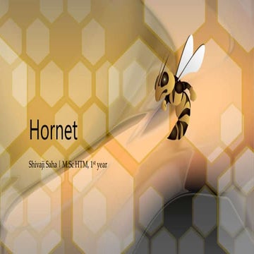 Hornet | PPTX