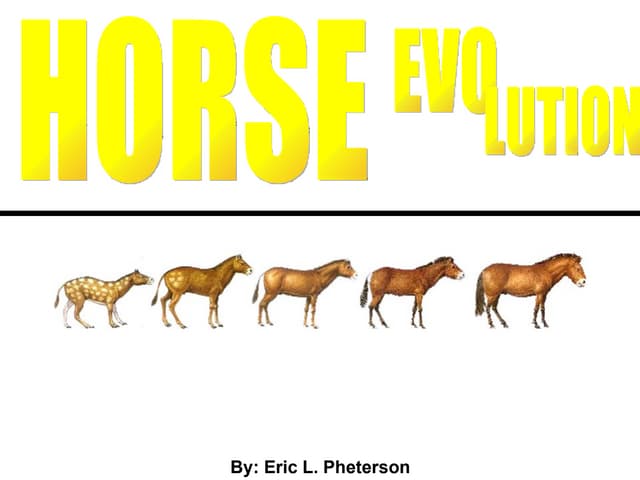 EVOLUTION OF HORSES PPT.pptx