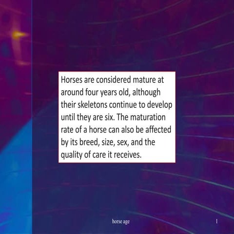 Common Horse Terms | PPTX
