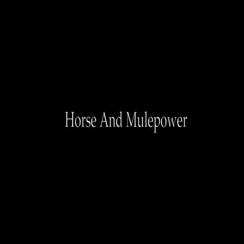 Horse and mulepower | PPT